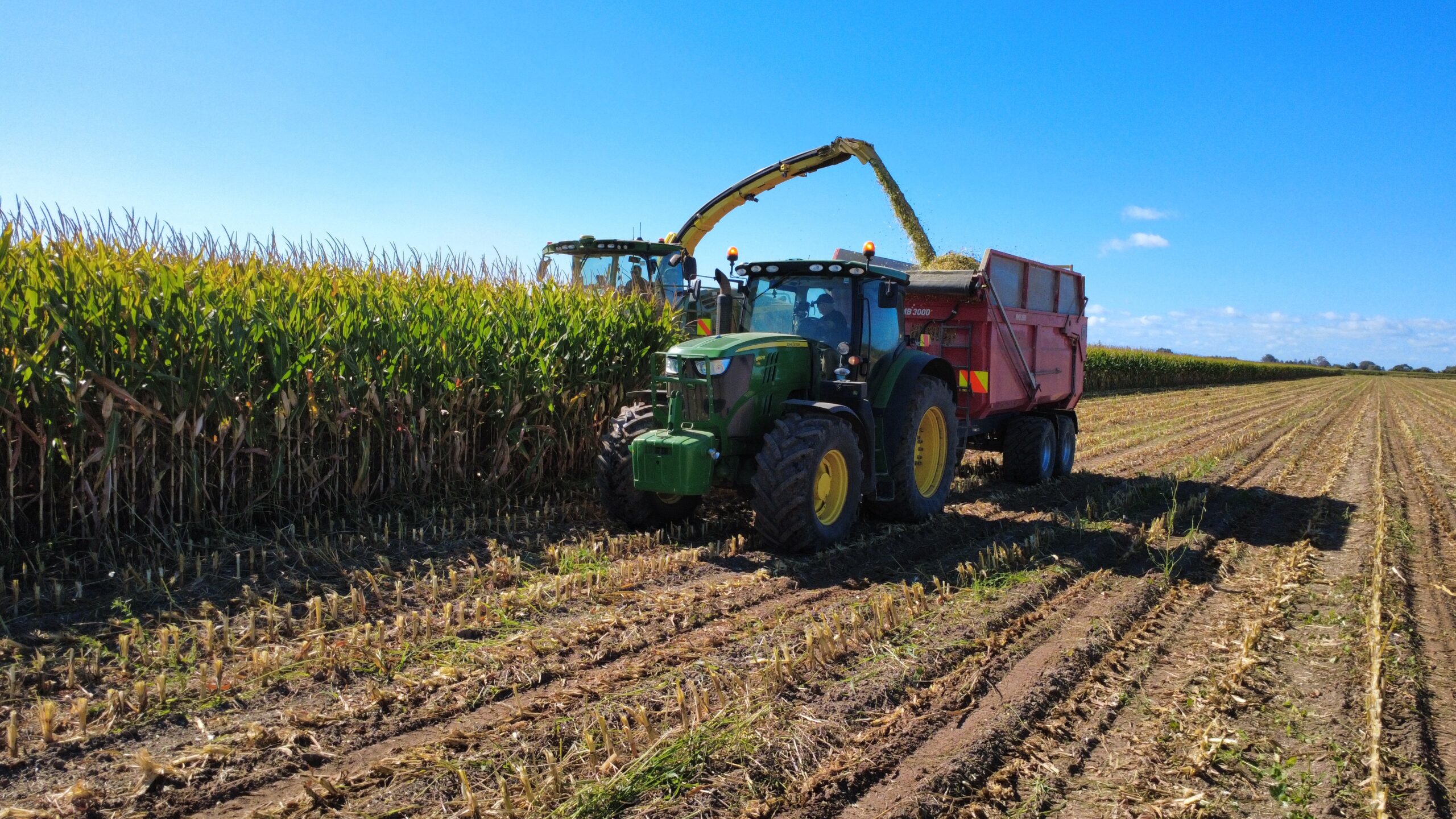 Maize Silage - Arnold Agriculture
